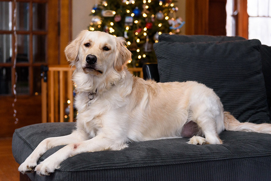 2019_hyland_j-4000 – juliedoranphotography